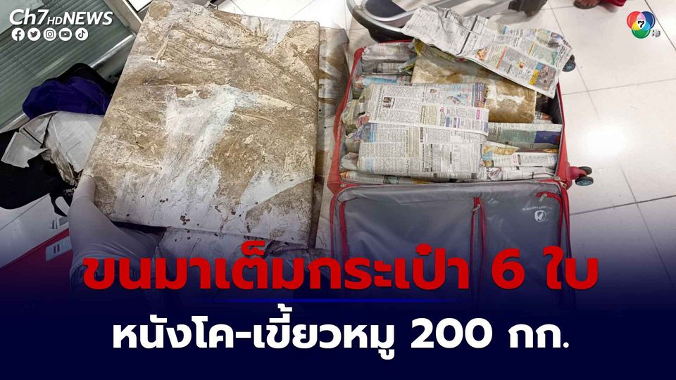 ข่าวรวบชาวอินเดียลอบขน หนังโค เขี้ยวหมู 200 กก