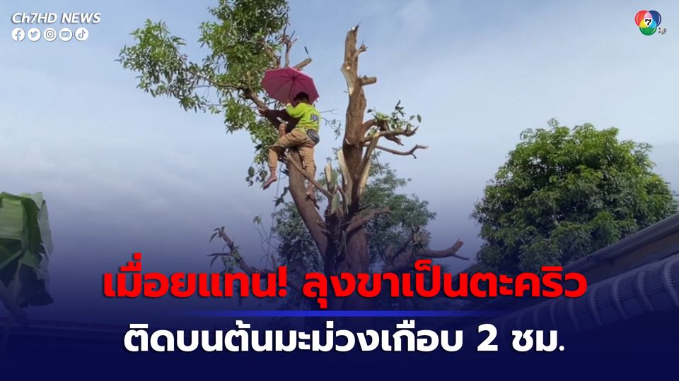 ข่าวช่วยลุงวัย 63 ปี ปีนขึ้นไปตัดต้นมะม่วง แล้วขาเป็นตะคริว ติดอยู่บน