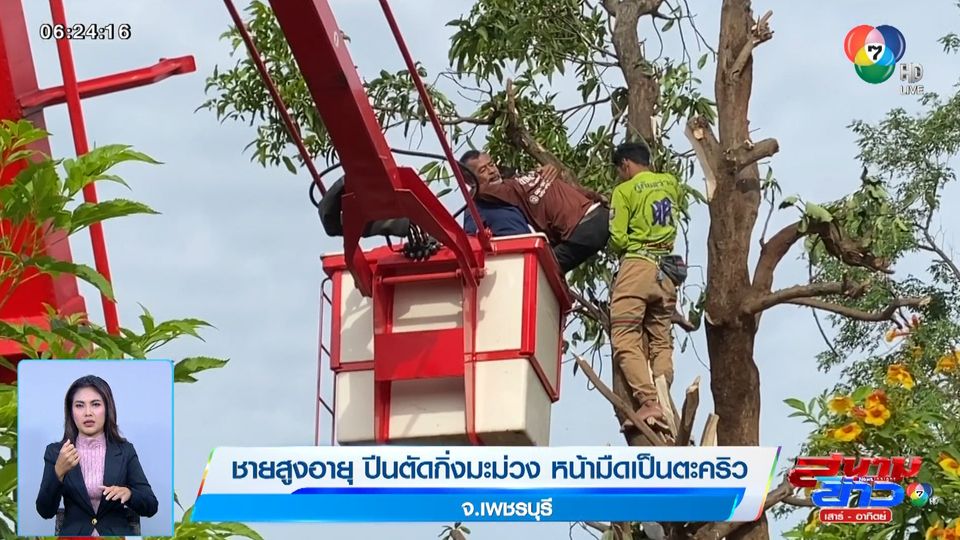 ข่าวชายสูงอายุ ปีนตัดกิ่งมะม่วง หน้ามืดเป็นตะคริว จ.เพชรบุรี