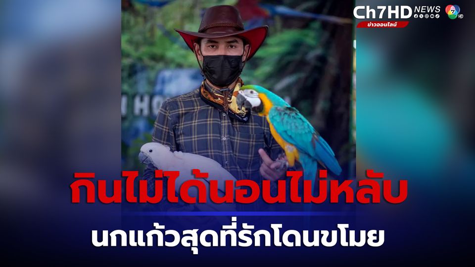 ข่าวกินไม่ได้นอนไม่หลับ หนุ่มอุดรท้อใจโพสต์ตามหา นกแก้วแสนรู้ โดนคนร้ายขโมย