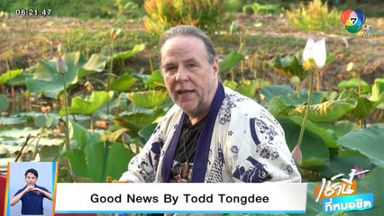 ข่าวGood news by Todd Tongdee : Oasis in the City แหล่งน้ำใจกลางเมือง